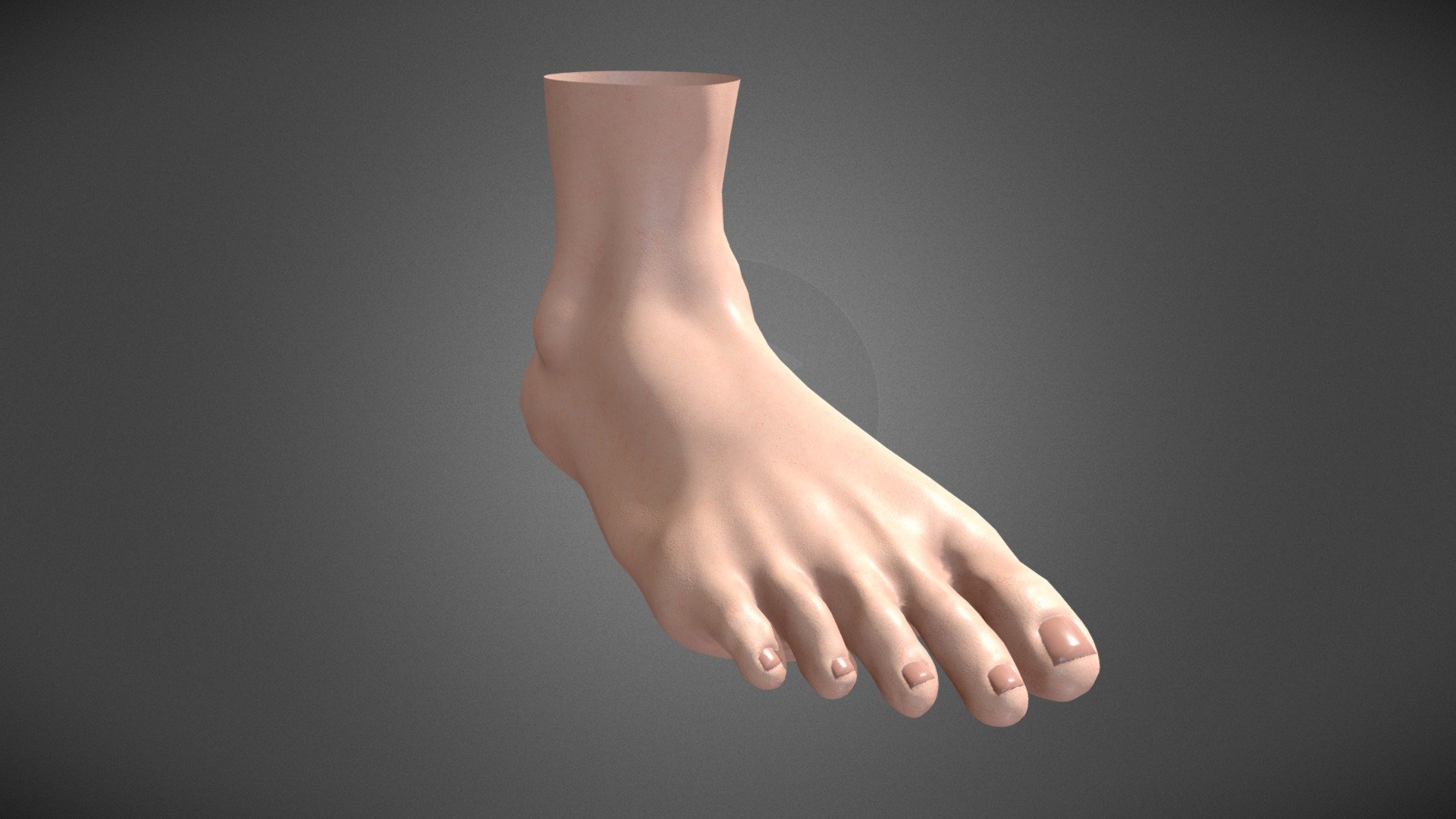 Foot - 3D model by brewoliverin [64d936d] - Sketchfab