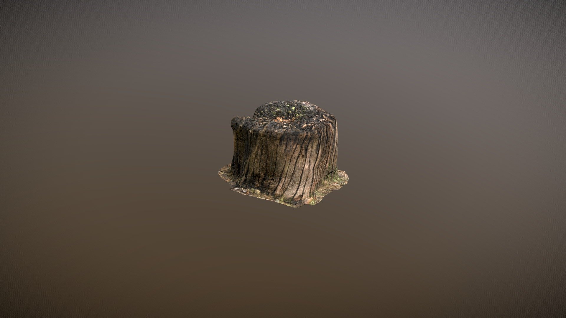 Tree Stump - 3D model by _ainara [64da9ae] - Sketchfab