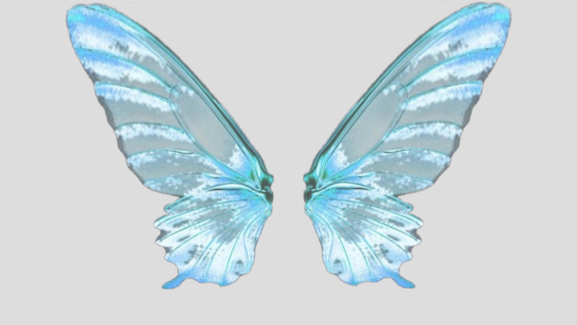 Butterfly wings [transperant] - Download Free 3D model by Cybertron B ...