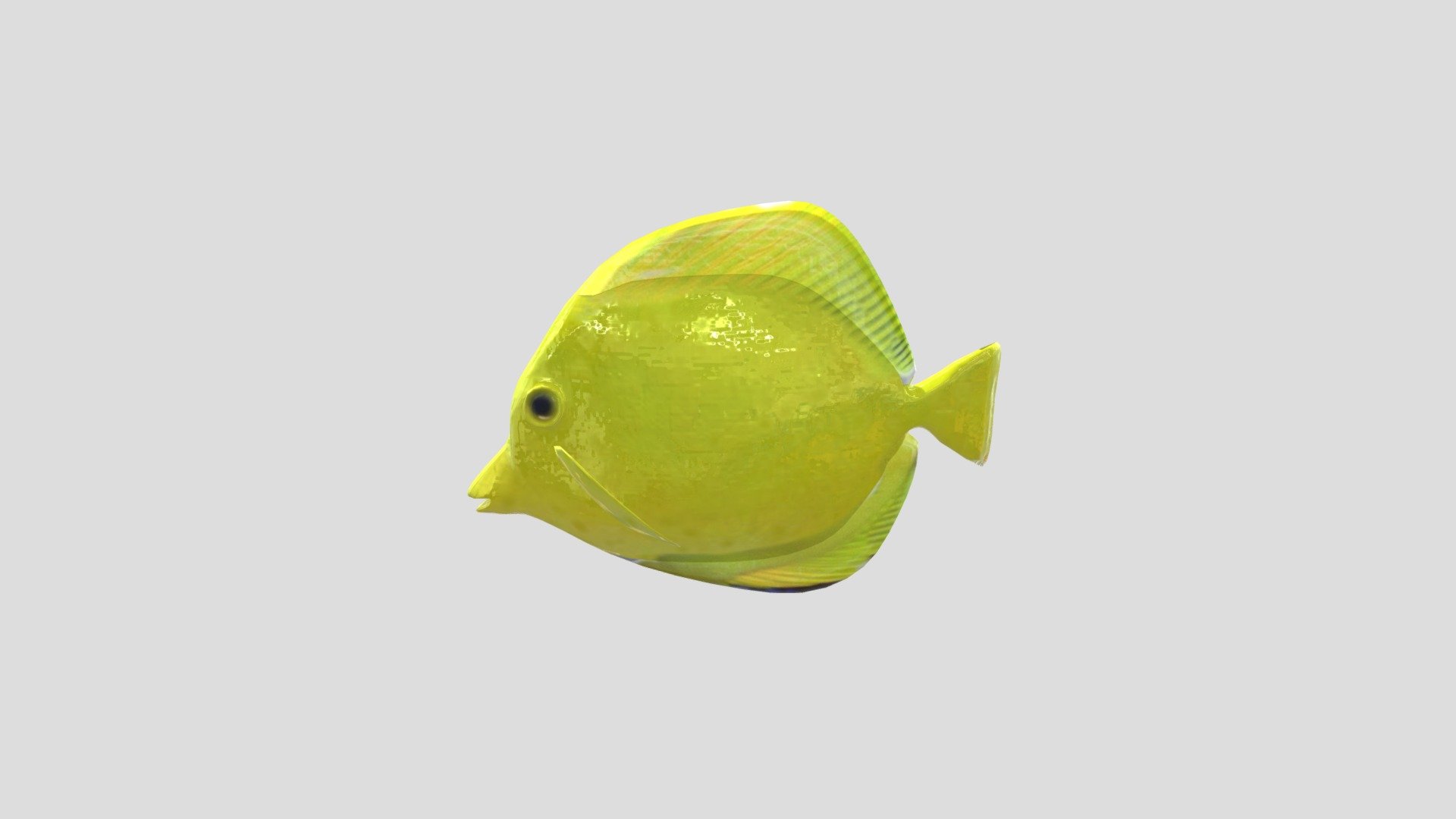 Fishy fish - 3D model by tylerwu [64e7c38] - Sketchfab