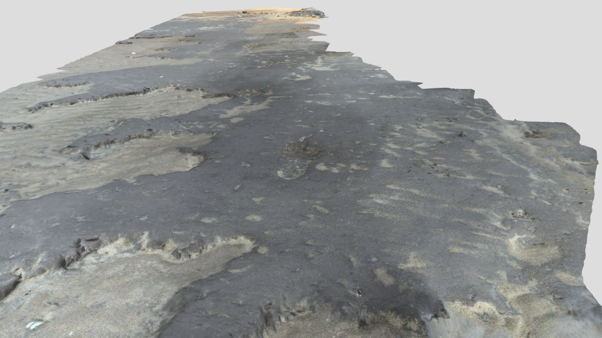 Formby Footprints — Tall person Nicotine Path - 3D model by Archaeology ...