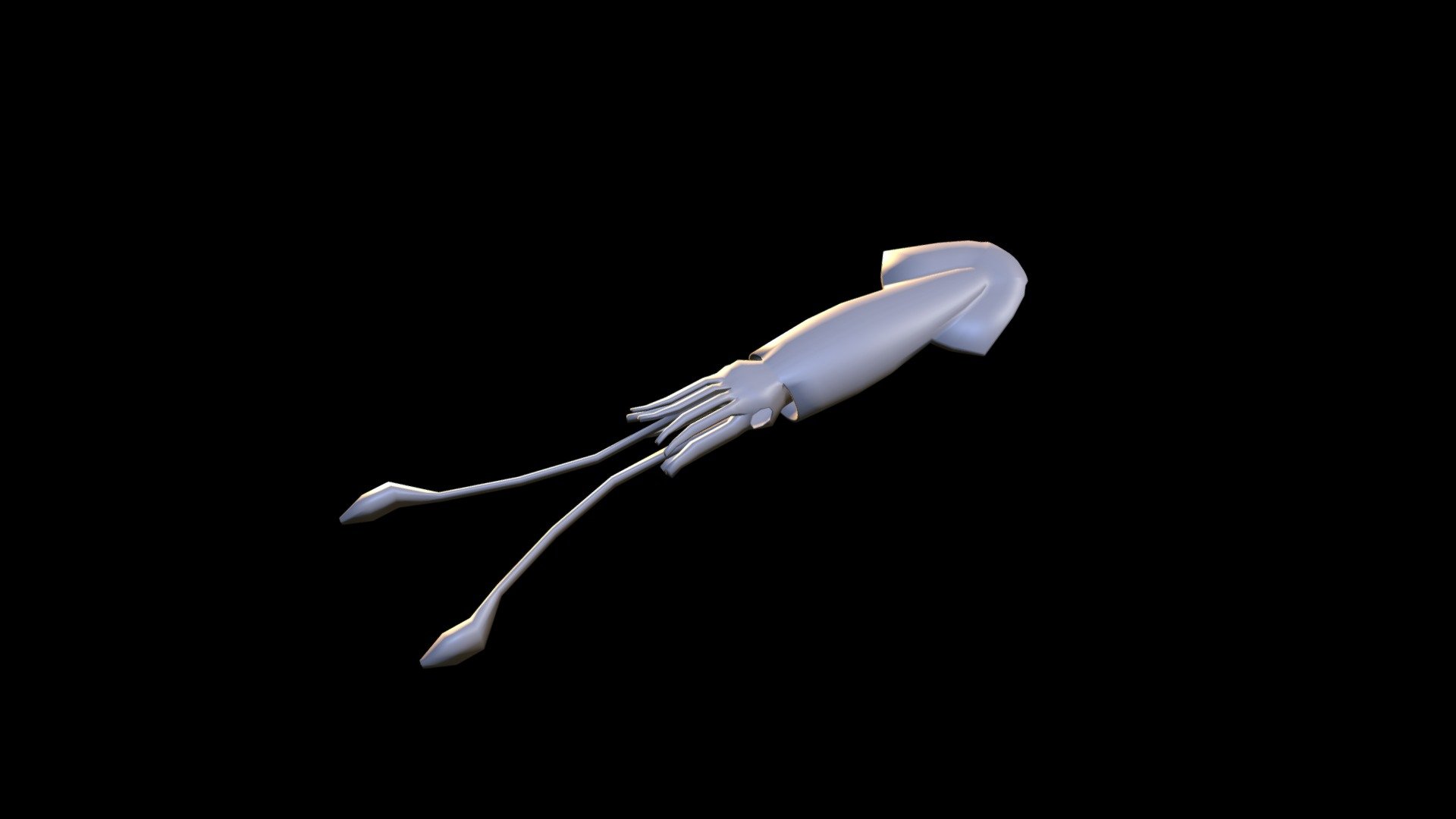 Squid - 3D model by Mieke Roth (@miekeroth) [64ea9e6] - Sketchfab