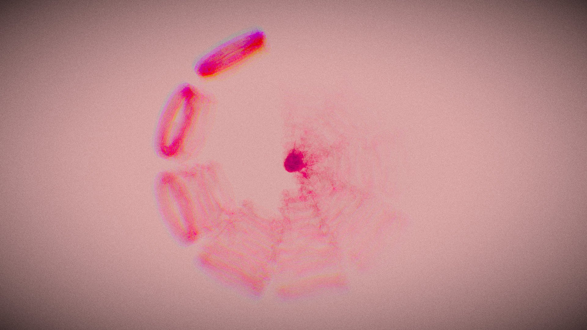 Smoke Rings - Download Free 3D model by Tycho Magnetic Anomaly (@Tycho ...