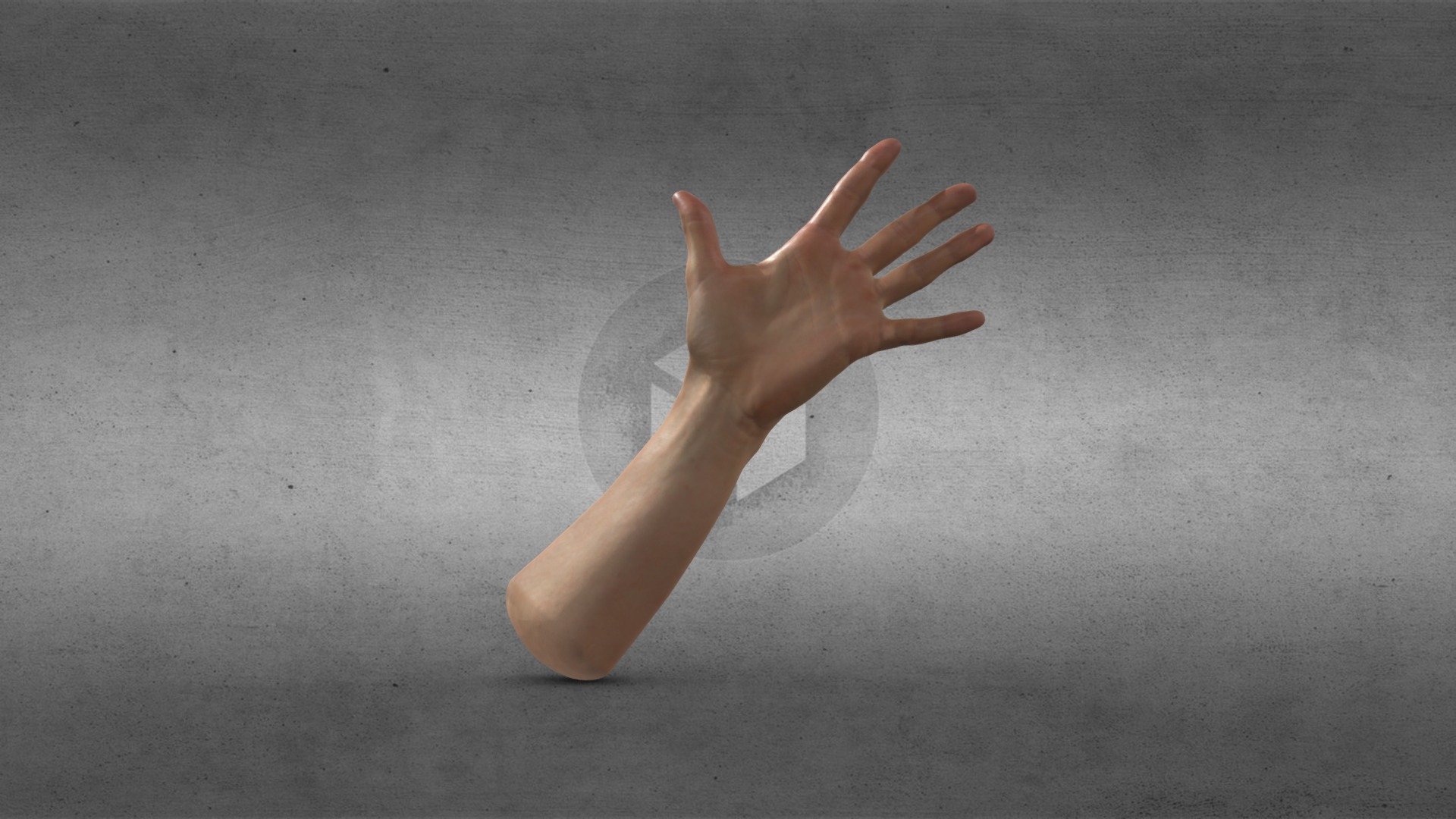 Hand - Download Free 3D model by BC-Studio [64f3934] - Sketchfab