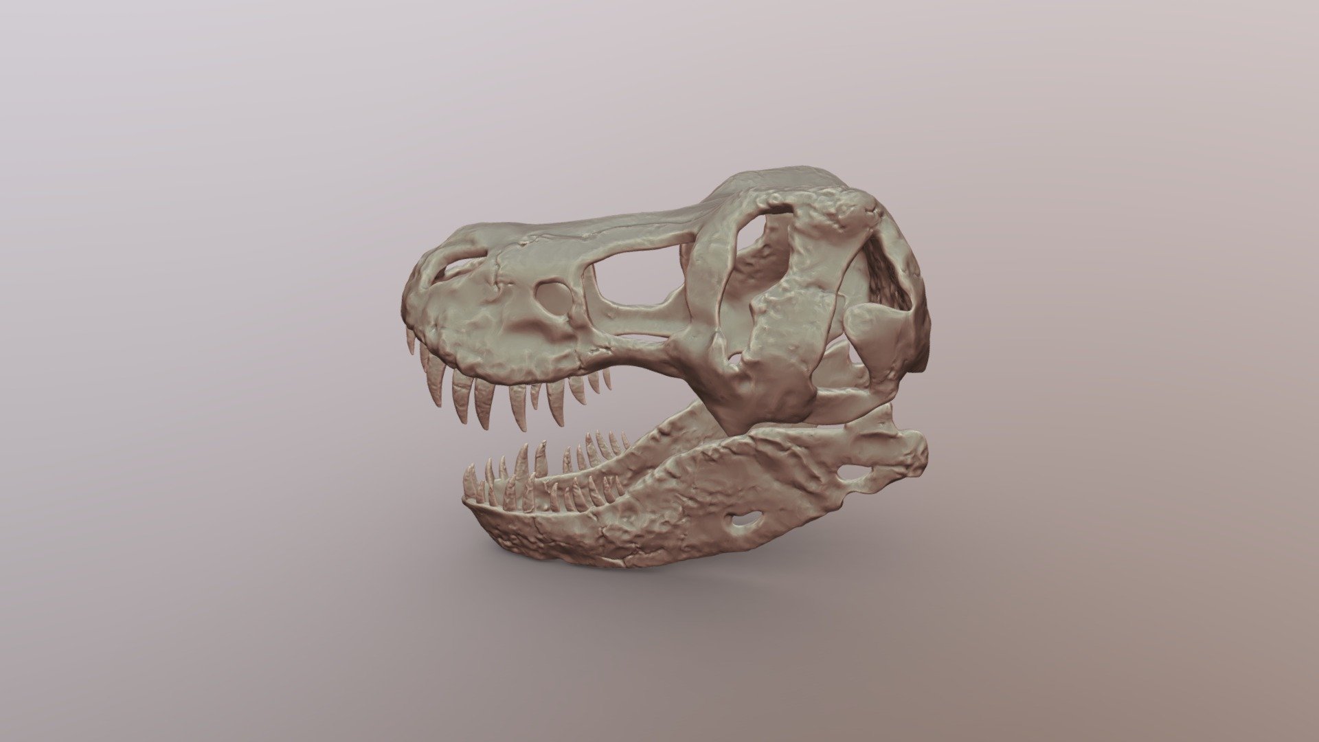 T_ Rex - 3D model by geobruno.sansone [64fa7be] - Sketchfab