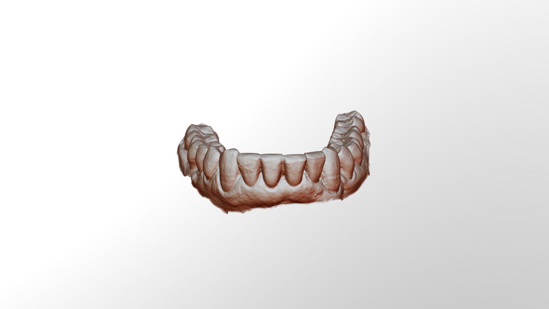 111936128_shell_occlusion_l - Download Free 3D model by euclides.gomes ...