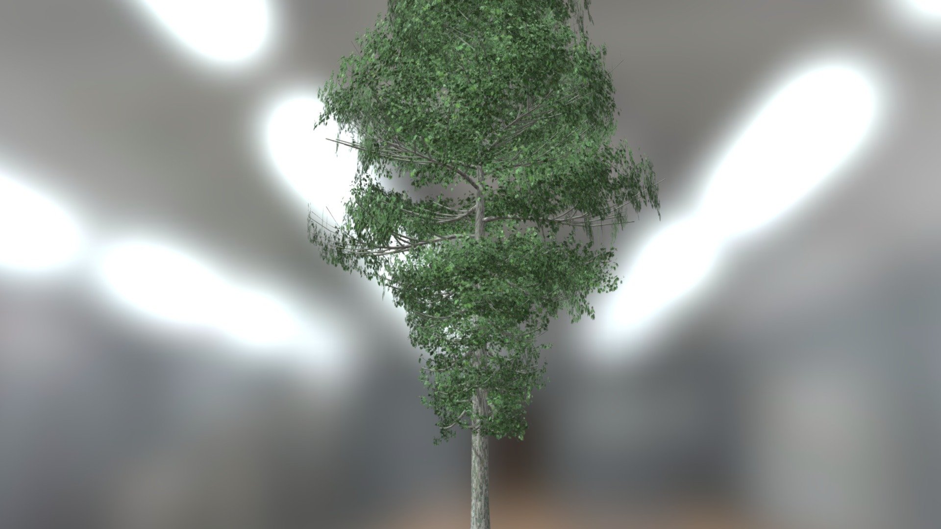 PLATANUS WITH LEAVES AND ANIMATION - Buy Royalty Free 3D model by PATH ...