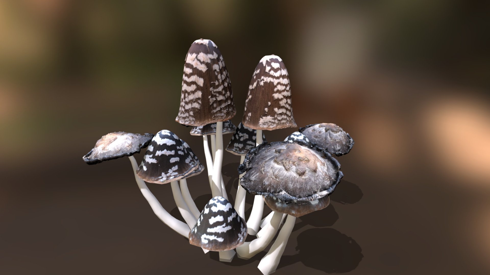 Magpie inkcap fungus (Coprinopsis picacea) - 3D model by Paleobiome ...