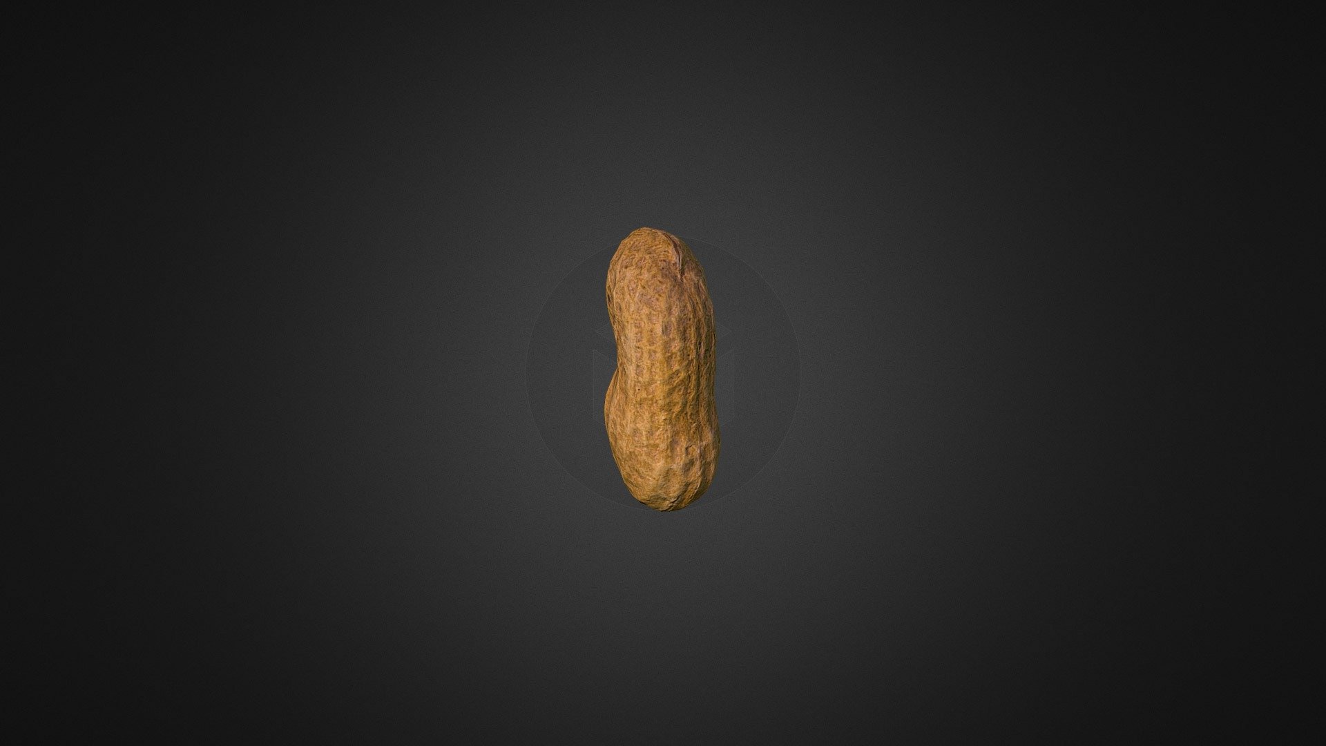 Peanut - Download Free 3D model by Gewoelbe3DScan (@3dgewoelbescan) [6503772] - Sketchfab