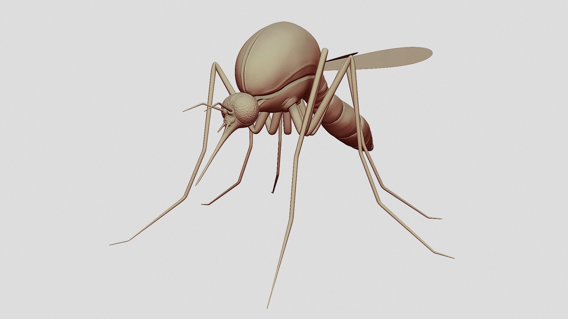 Mosquito Sculpt - Buy Royalty Free 3D model by POLYCOSM [65086d7 ...