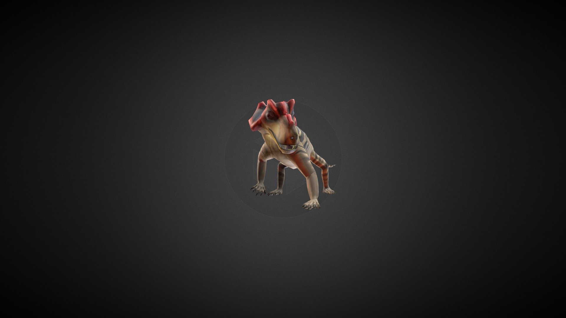Paraburnetia sneeubergenis - 3D model by kuzim [650e607] - Sketchfab