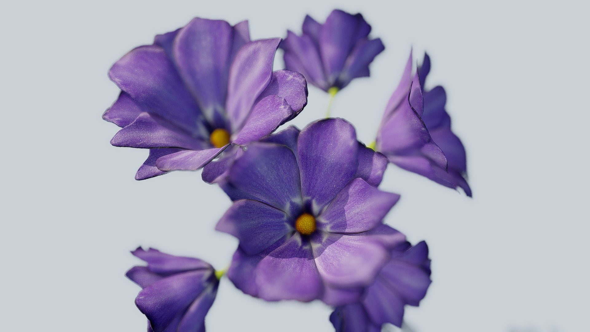 Purple Flowers - 3D model by 3Dee (@mellydeeis) [6516d6c] - Sketchfab