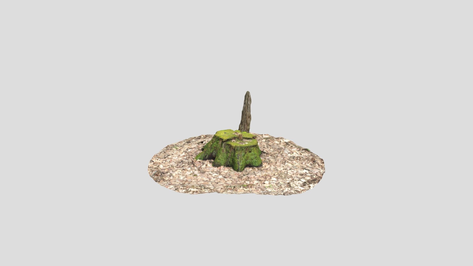The stump is covered with moss - 3D model by olegmit [6518f34] - Sketchfab