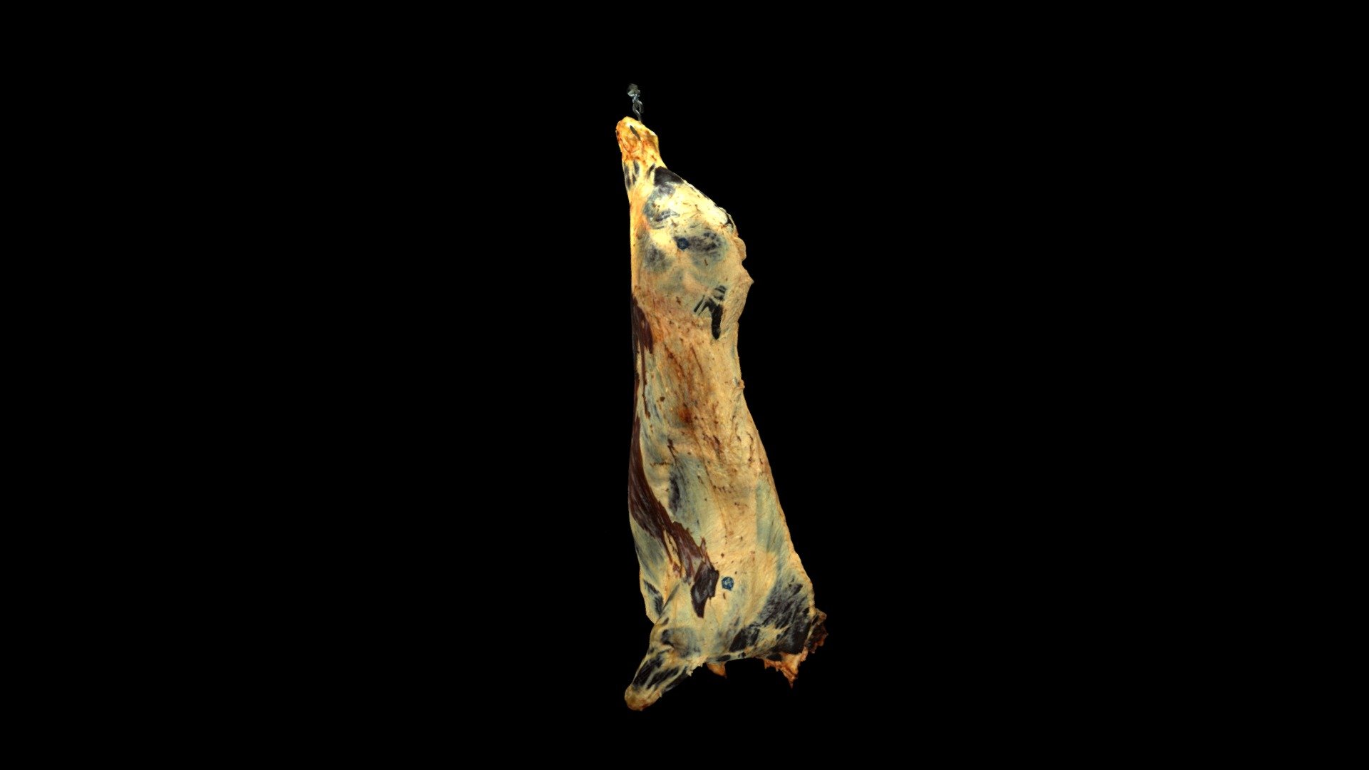 Beef - 3D model by UNLMeat Collections (@UNLMeats) [651d025] - Sketchfab