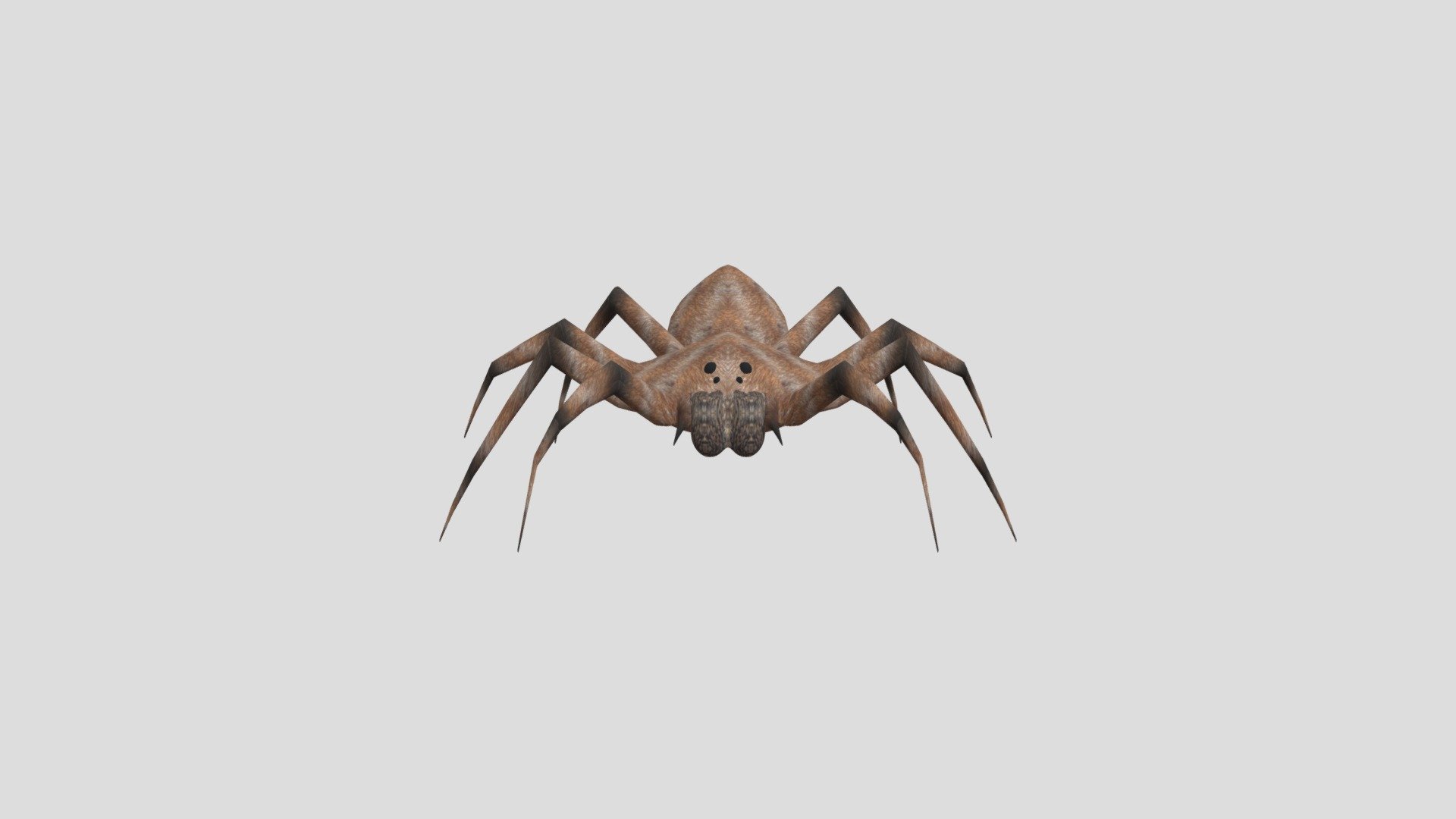 3DB Spider - Download Free 3D model by mweisburgh [651e077] - Sketchfab