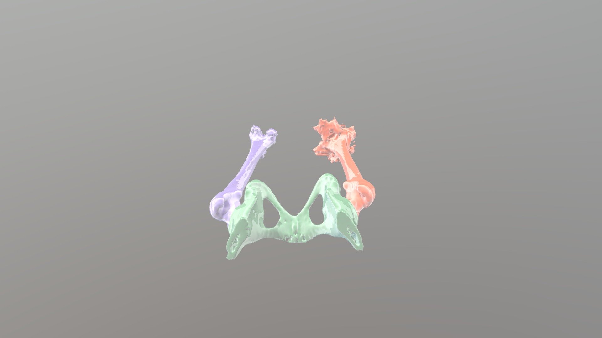 Segmentation_1 - 3D model by harrya [651e2da] - Sketchfab