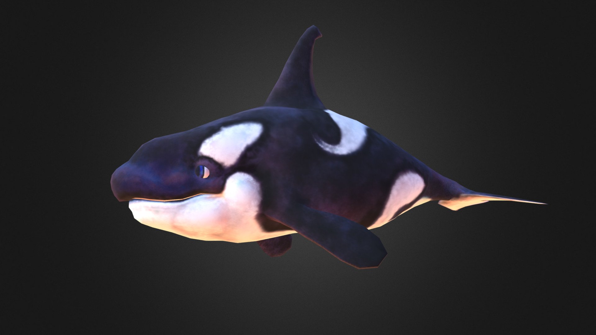 Orca - 3D model by paoletti.lc [651f2b7] - Sketchfab