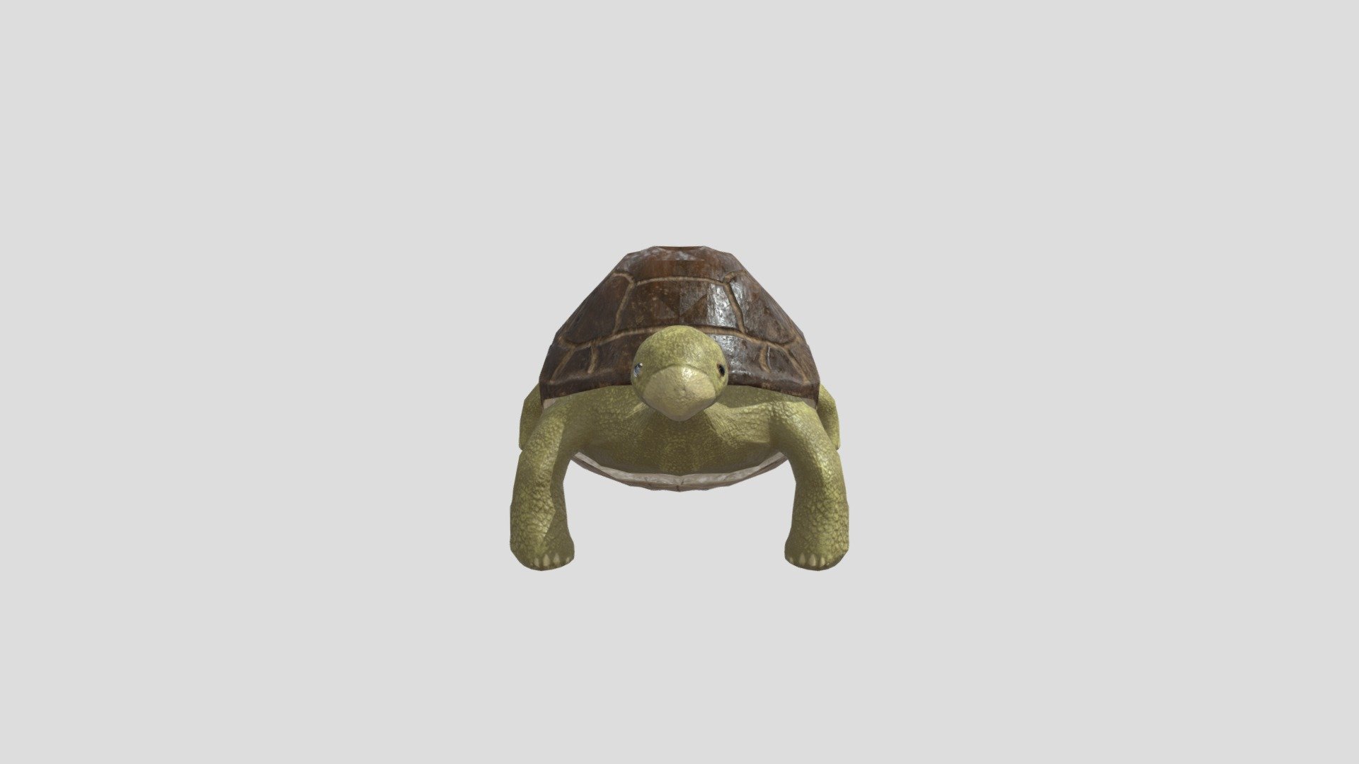 Projet Final Animal (tortue) - 3D model by Markoonfire [652616b ...