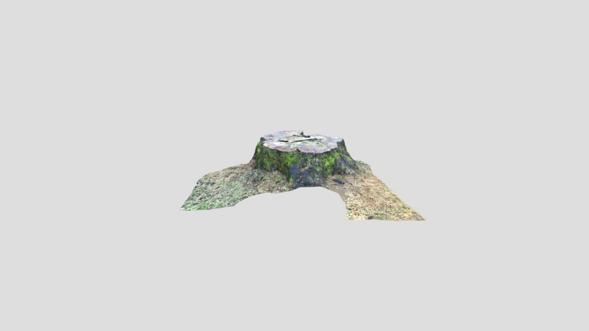 Small Tree Stump - 3D model by Grape Studio (@grapestudio) [6529574 ...