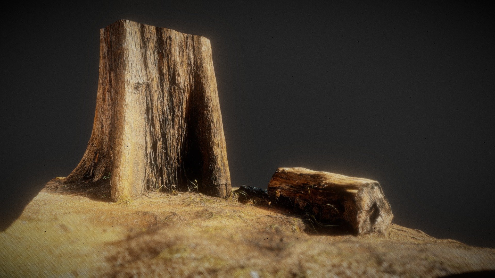 Tree Trunk on a beach in Goa | India - Download Free 3D model by ...