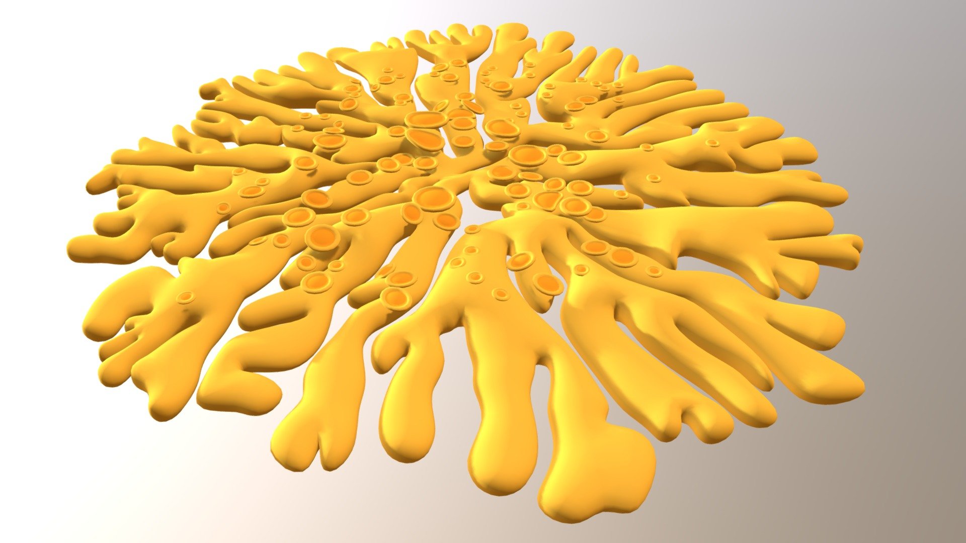 Xanthoria (Rusavskia) elegans - Download Free 3D model by Mykola ...