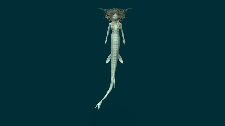 Hogwartslegacy 3D models - Sketchfab