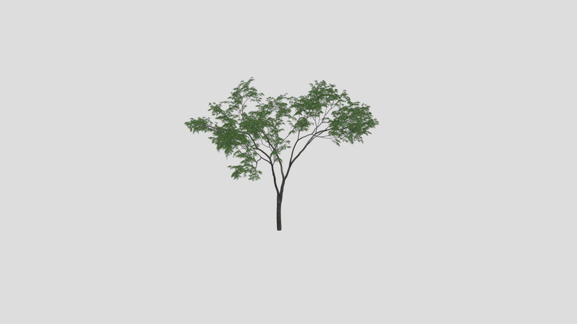 tree 3 AM207 Archmodel - Buy Royalty Free 3D model by Evermotion ...
