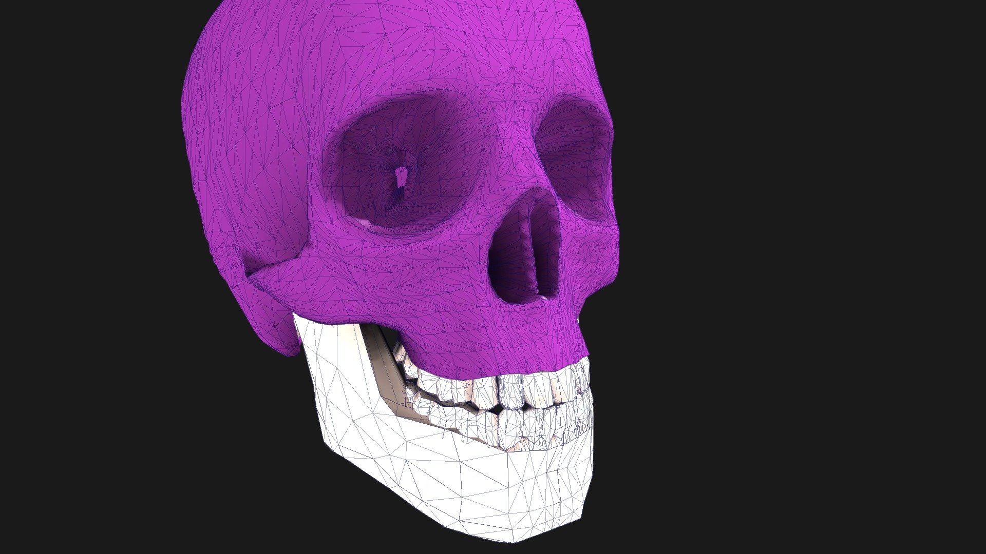 Skull_polygon modelling - 3D model by ncsekey [653a8ea] - Sketchfab
