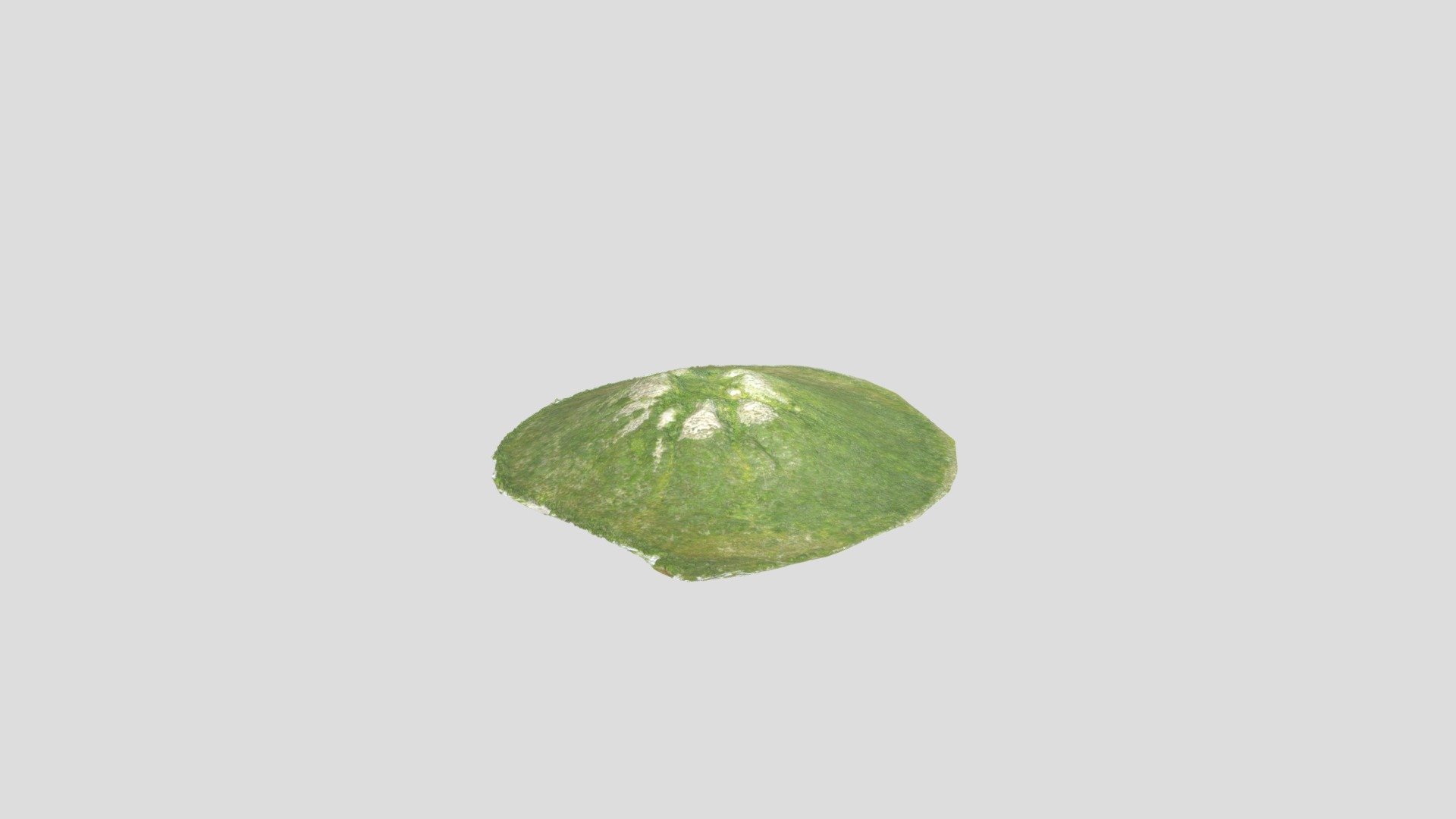 Split Pingo 3D Model - 3D model by WAFUpingo [653b7a5] - Sketchfab