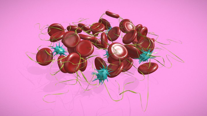 Platelets 3D models - Sketchfab