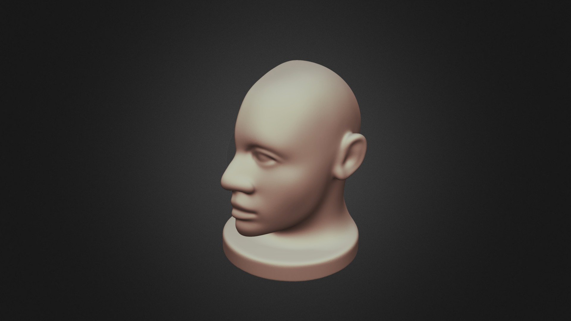 Human Head Cross Section - Download Free 3D model by taylorcustom ...