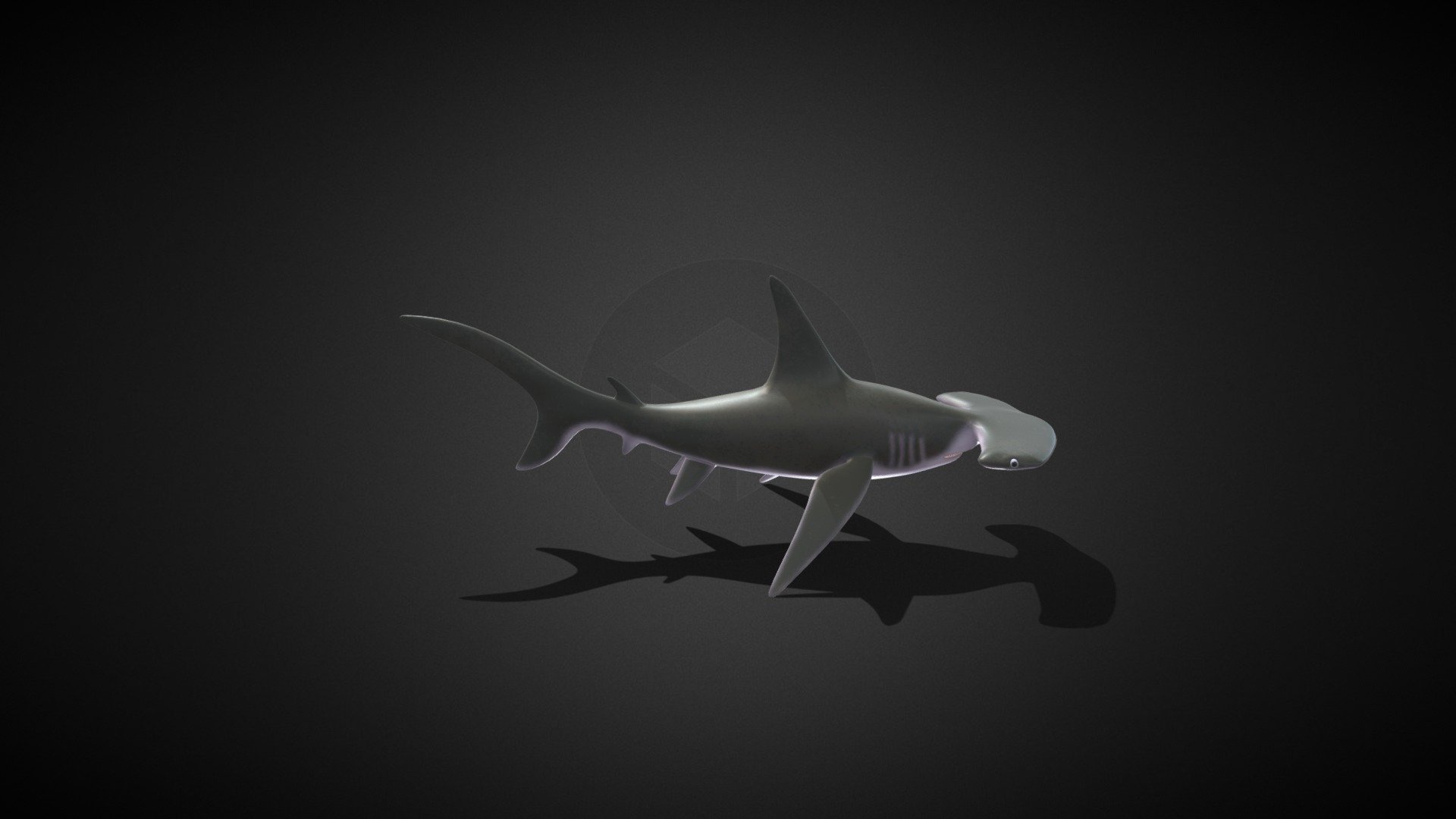 Hammerhead Shark - 3D model by Kartick972003 [6550c56] - Sketchfab