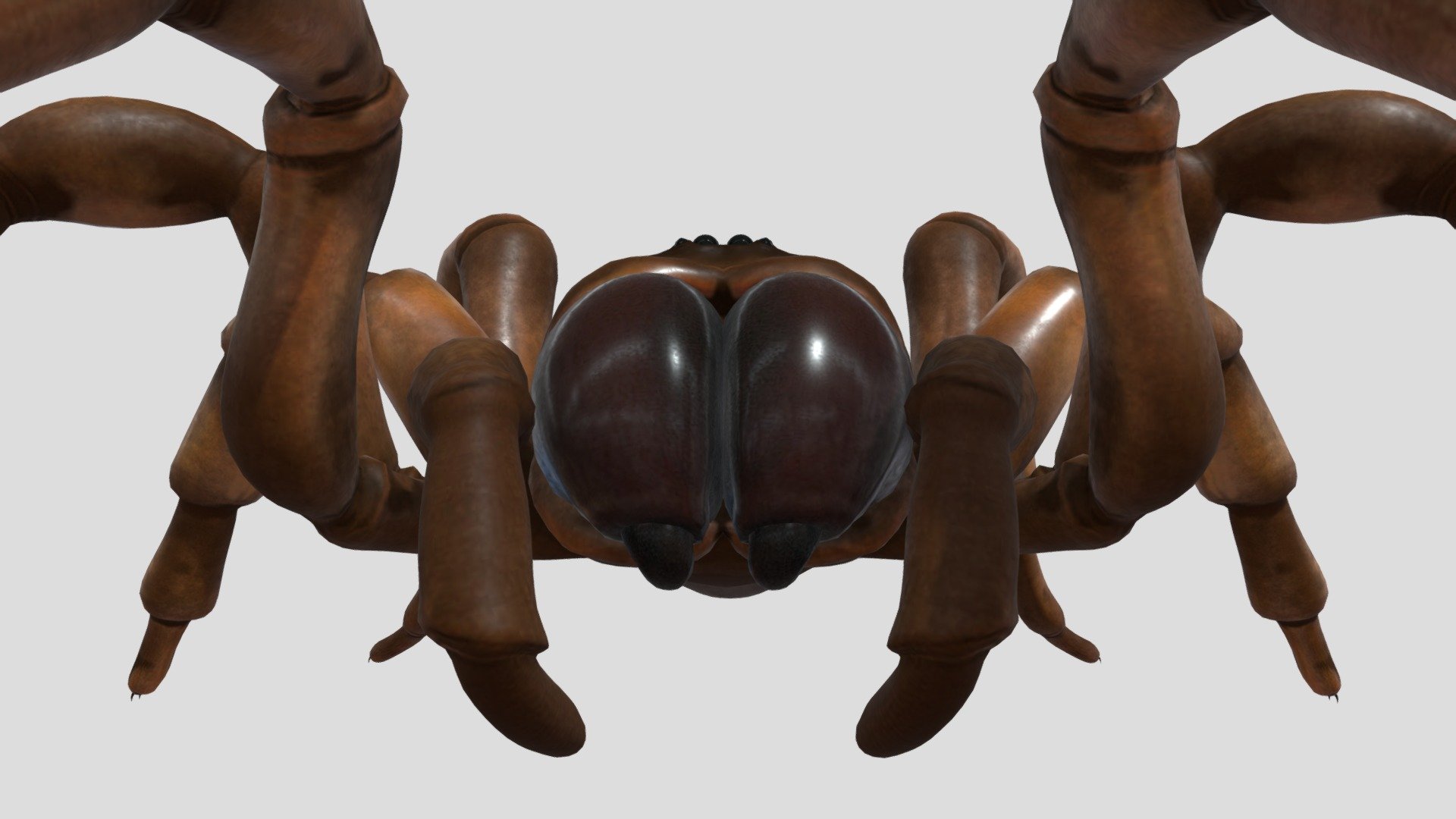 Spider (copied) - Download Free 3D model by DCC (@15589) [655de4f ...