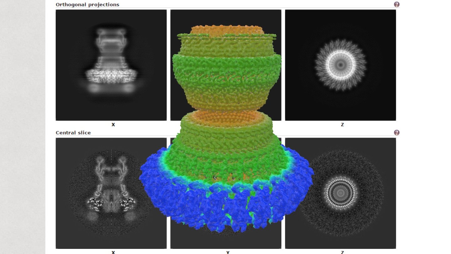 EMDB › EMD-8398 - 3D model by Interactive 3D Data (@proteinsimulation ...