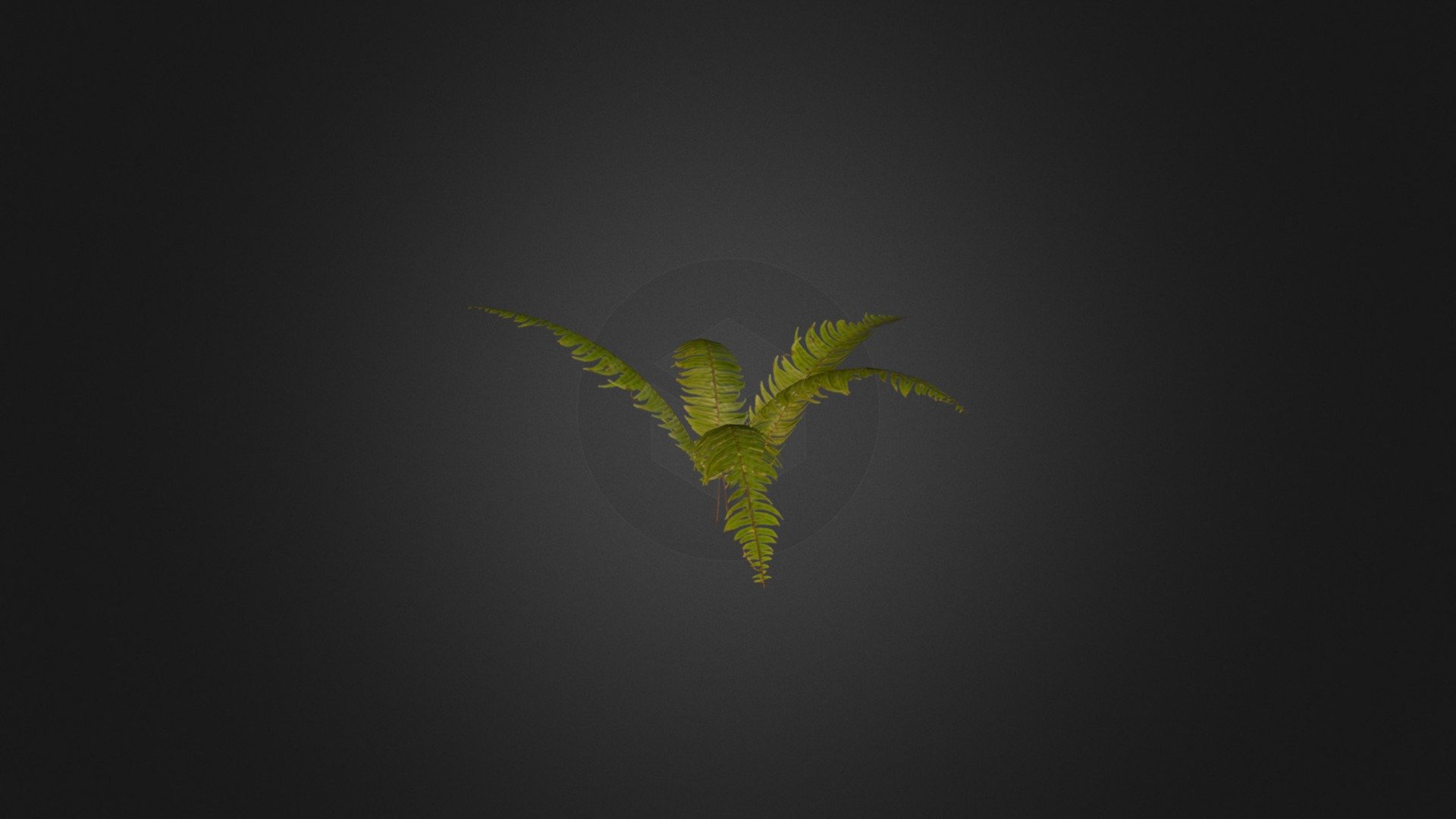 Fern Low Poly - 3D model by eleatiri [6573a48] - Sketchfab