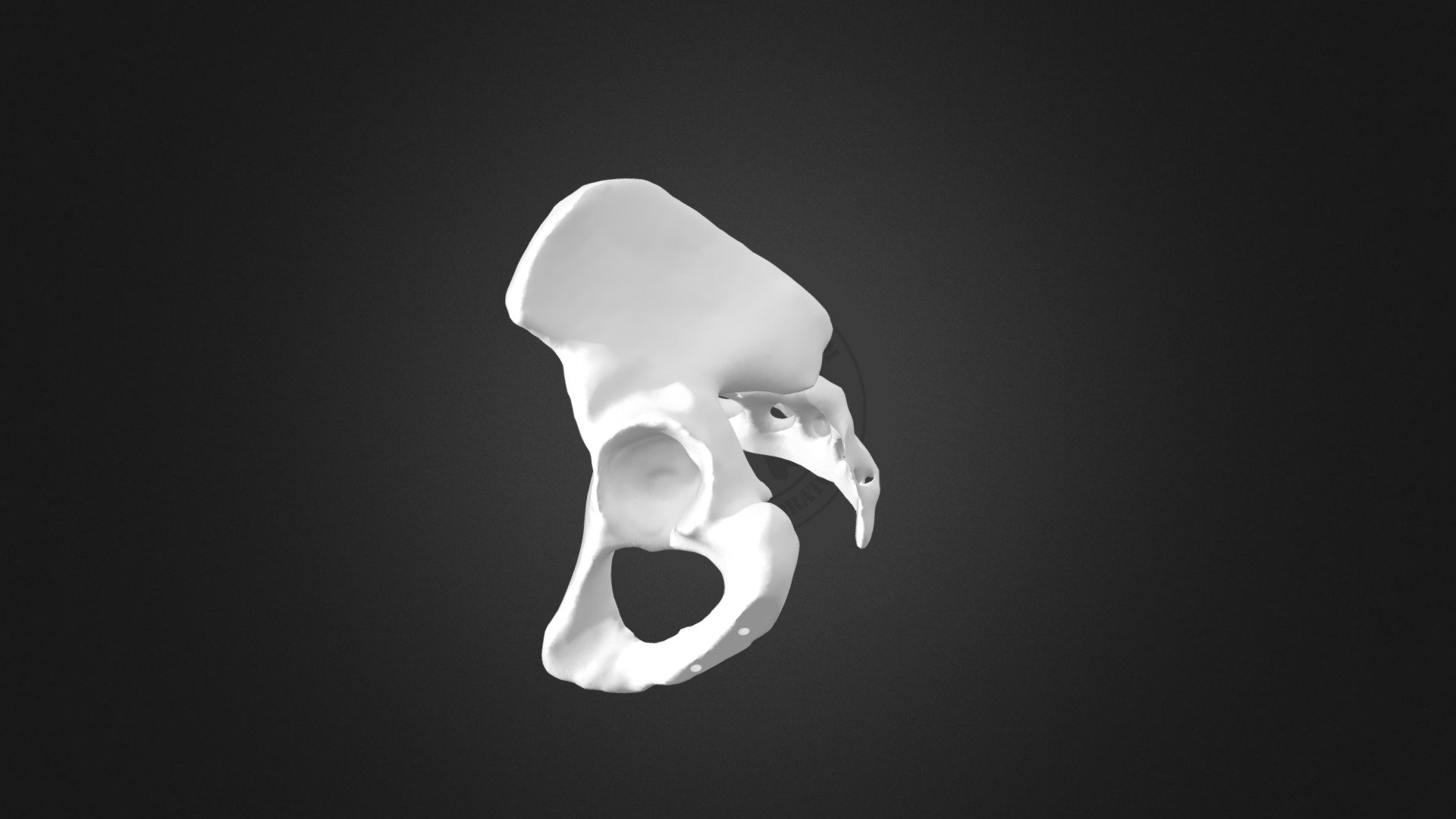 0 egészséges medence_vágva_feliratozva_smooth_ny - 3D model by gramanox ...