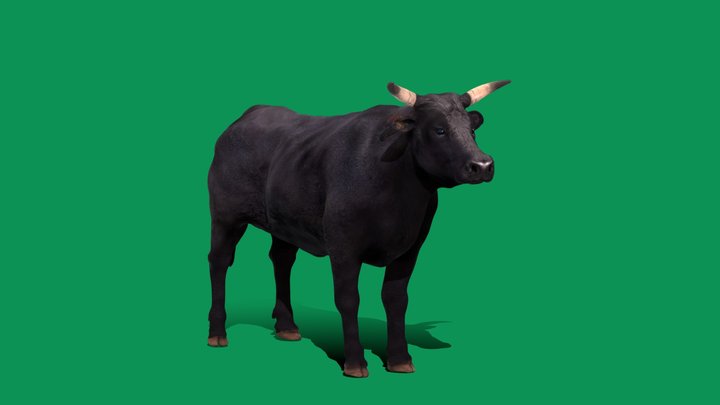 3d-cattle 3D models - Sketchfab