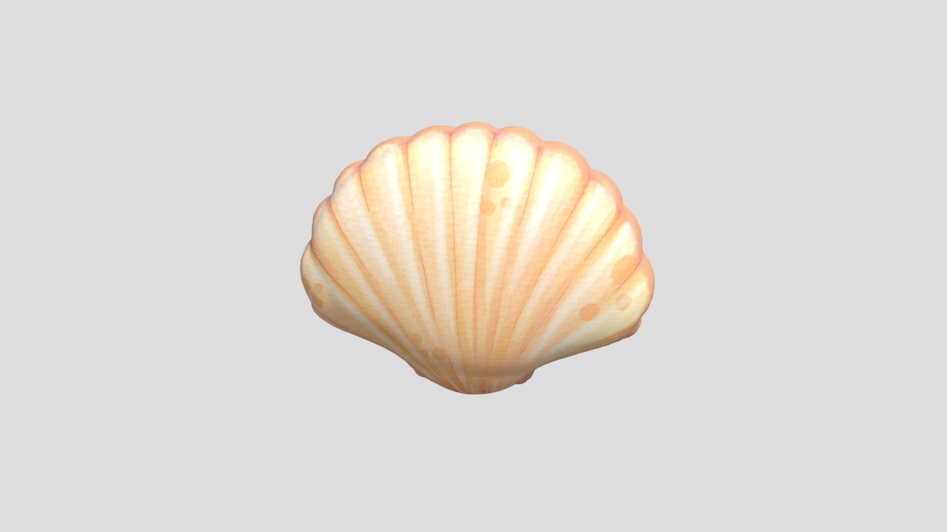 Model 3D Kerang - Download Free 3D model by Novita (@sauqiya) [6582632 ...