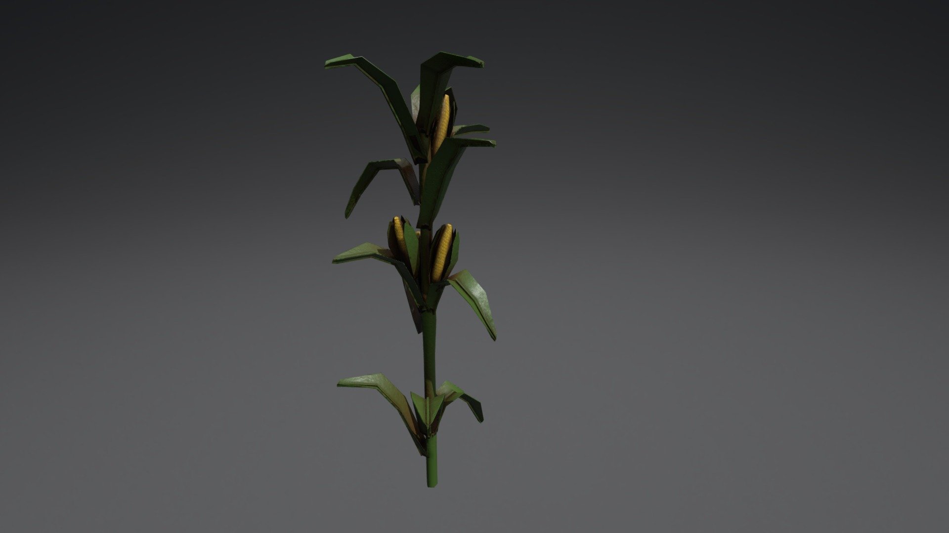 Corn - 3D model by João Silveira (@JoaoSilveira) [65852c4] - Sketchfab