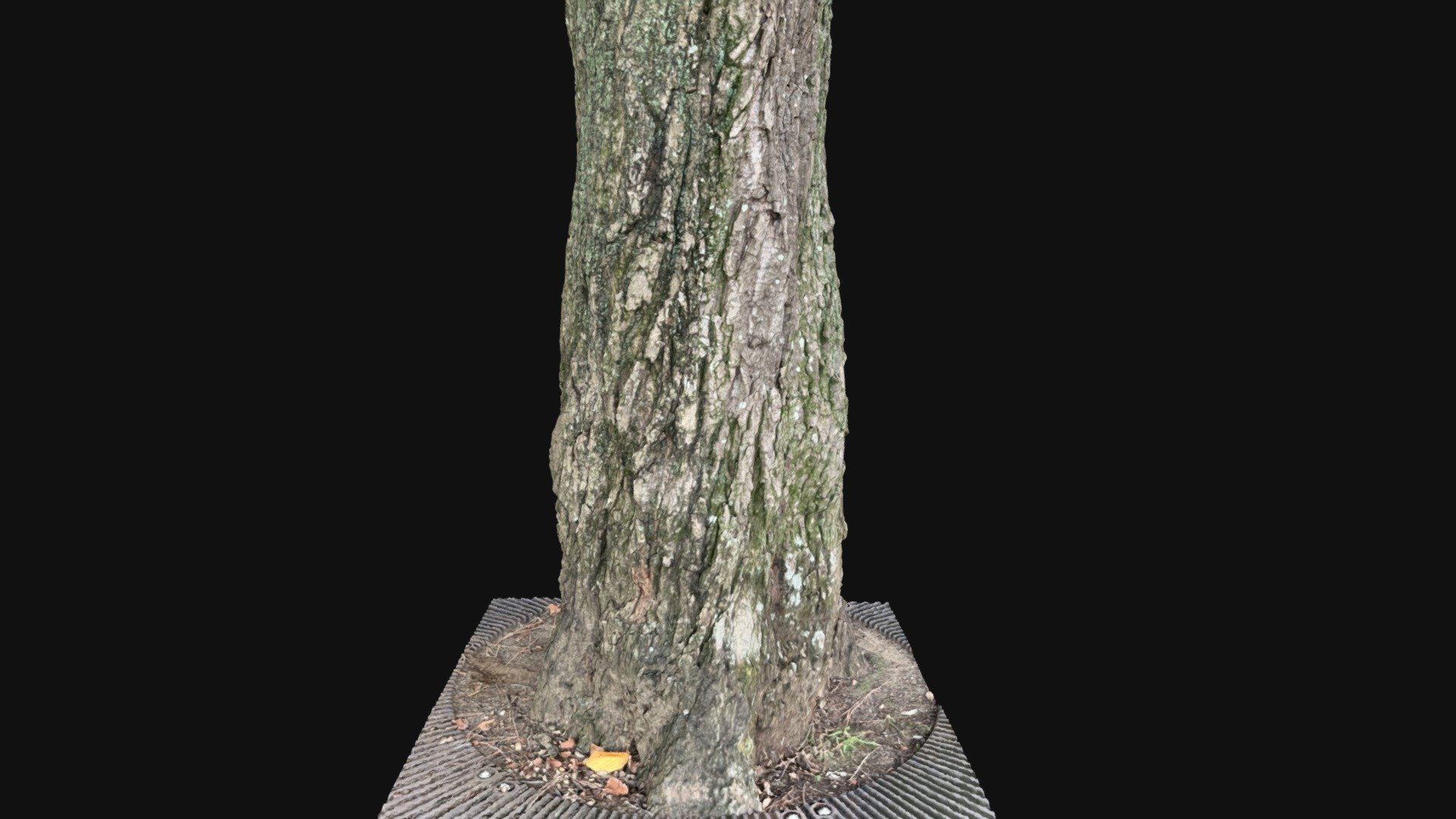 Tree Trunk - Download Free 3D model by manosu08 [65879ad] - Sketchfab