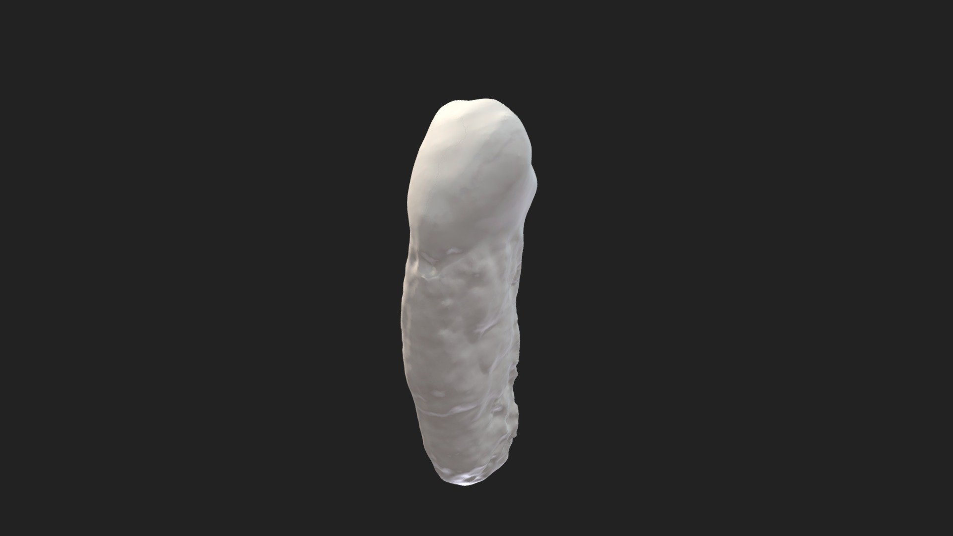 1st incisor (incisivus, I1) cat (upper jaw) - Download Free 3D model by ...