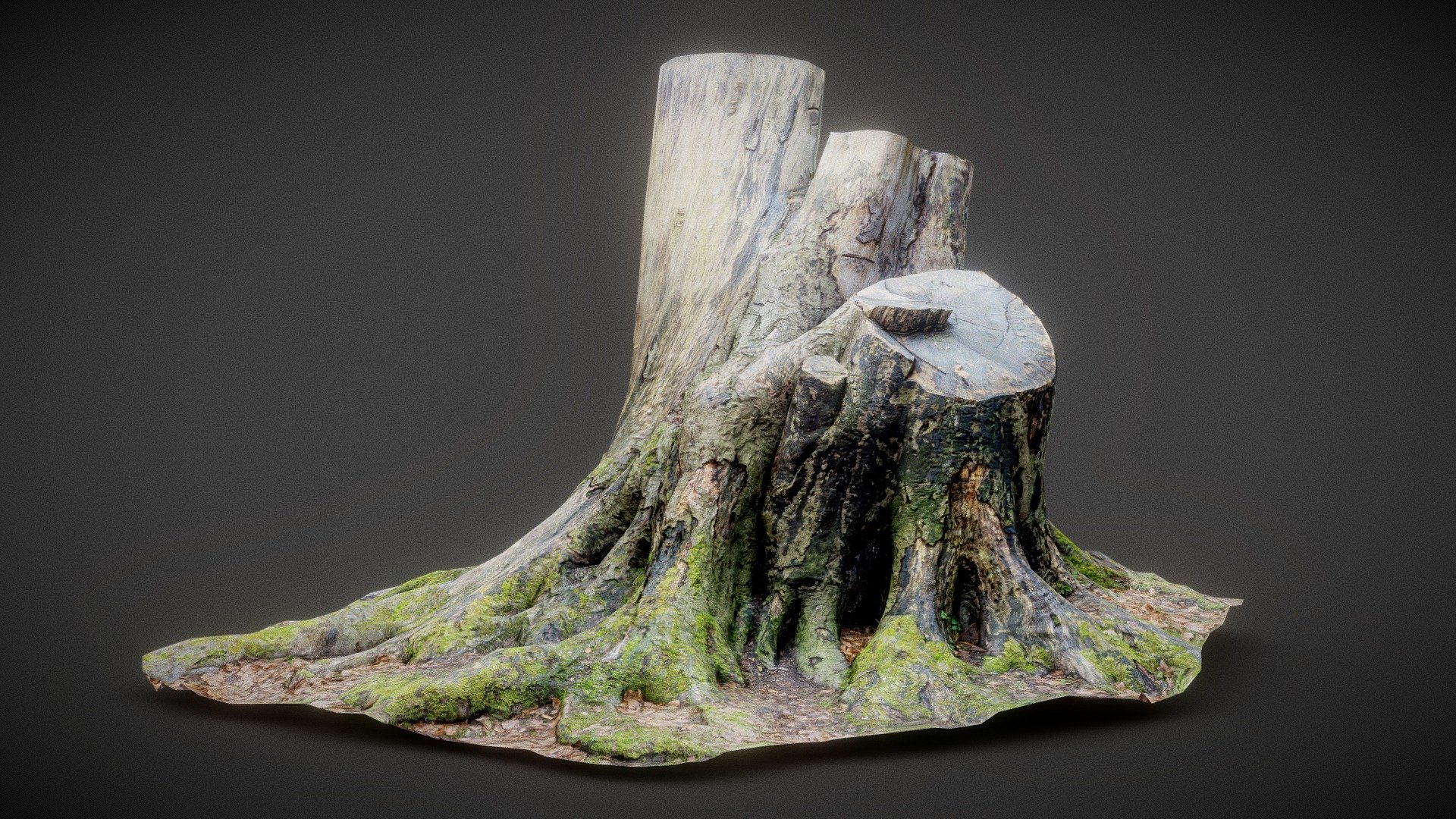 Roots 2 - Buy Royalty Free 3D model by Polygonal Miniatures (@Polygonal ...