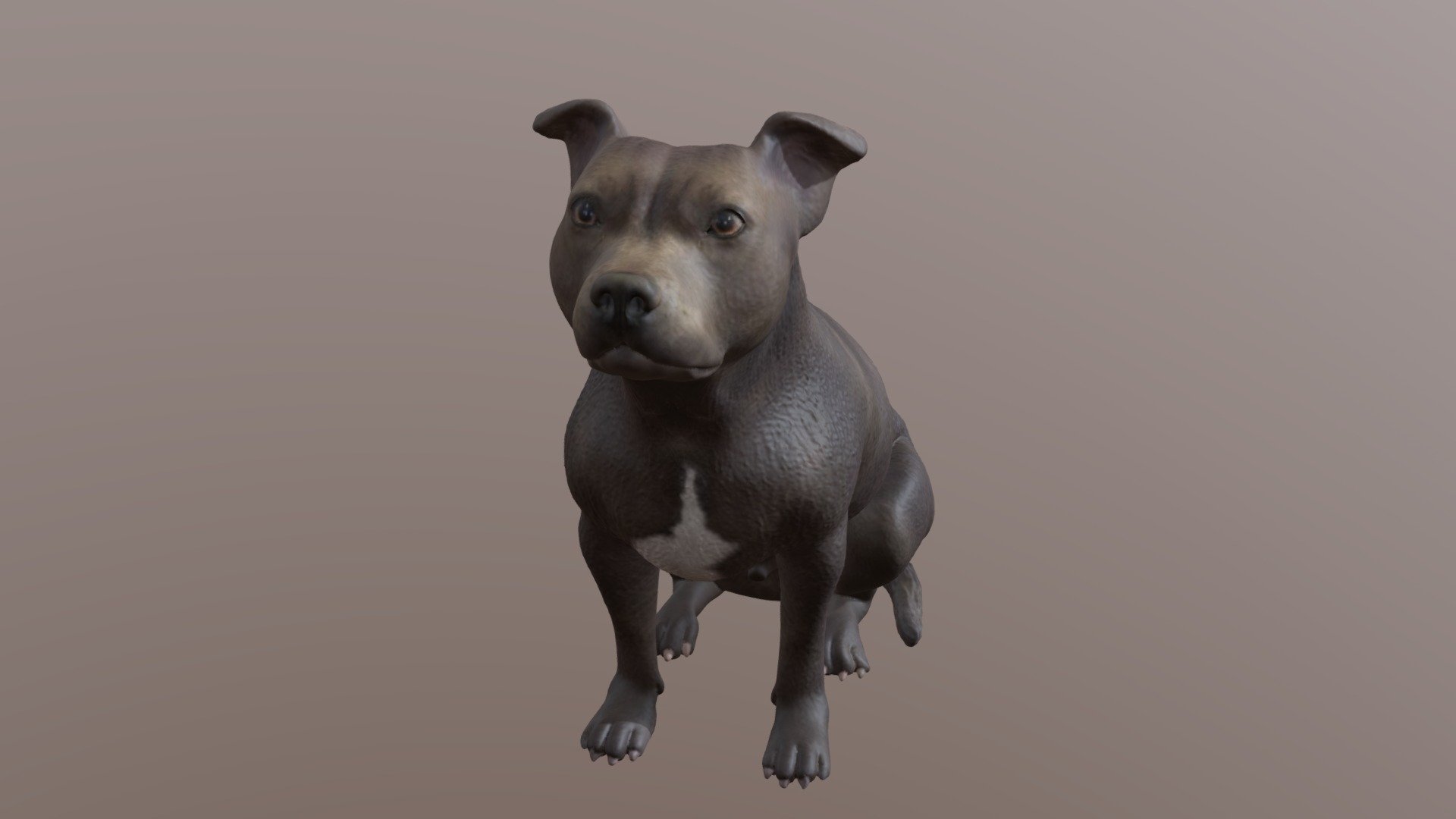 1901023- Rosco- Staffy - 3D model by Arty Lobster - Pet Sculptures Made ...