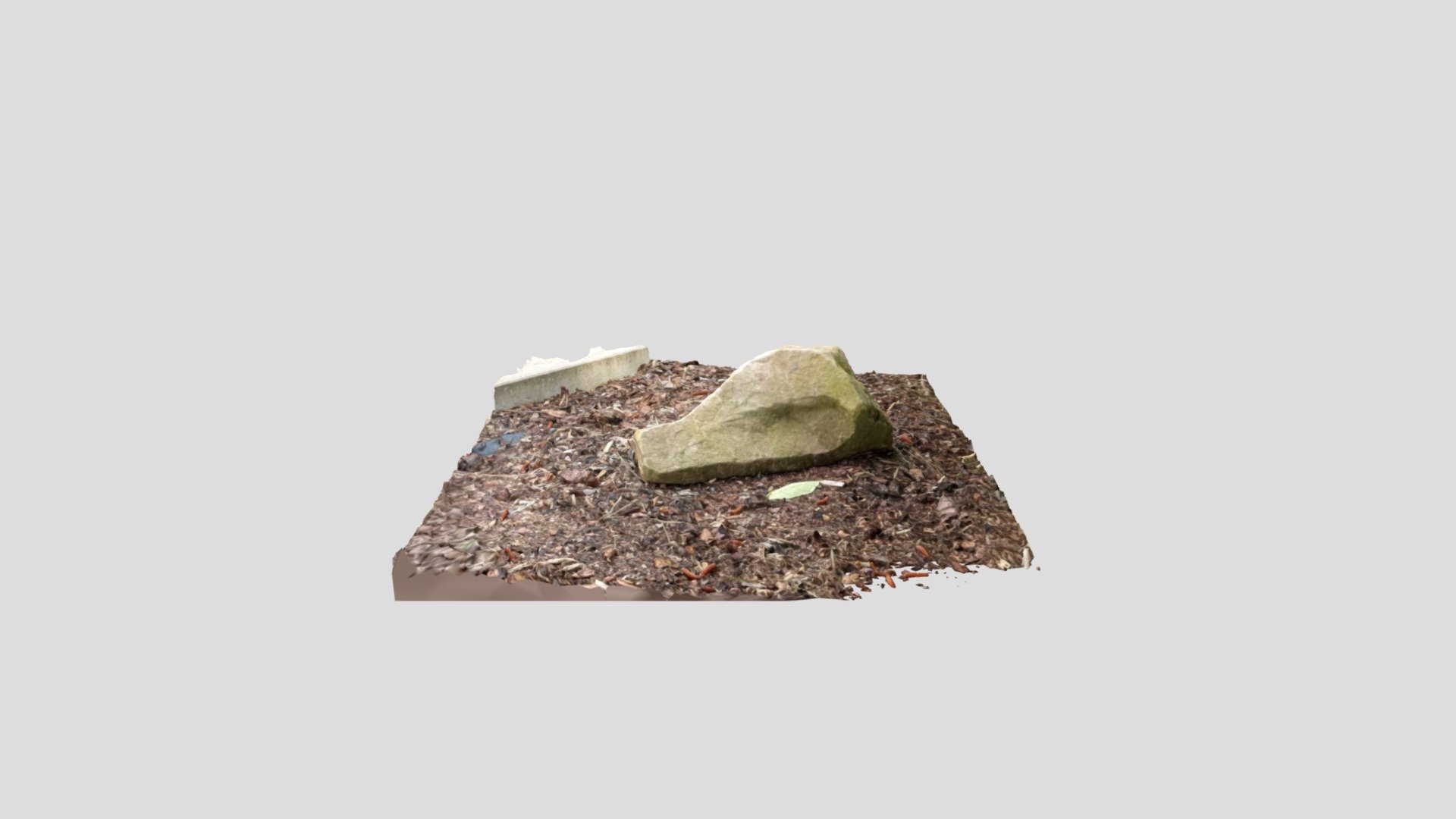 rock and forest floor - Download Free 3D model by Elizabeth Revvo (@zet ...