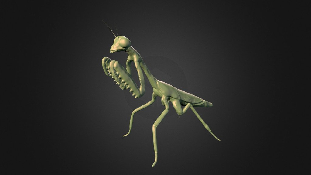 Mantis - 3D model by Bill Nguyen (@bill_nguyen) [65a282a] - Sketchfab