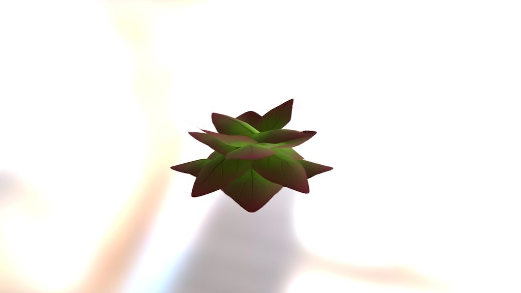 Flower4 Model - 3D model by DriftQueen [65a963a] - Sketchfab