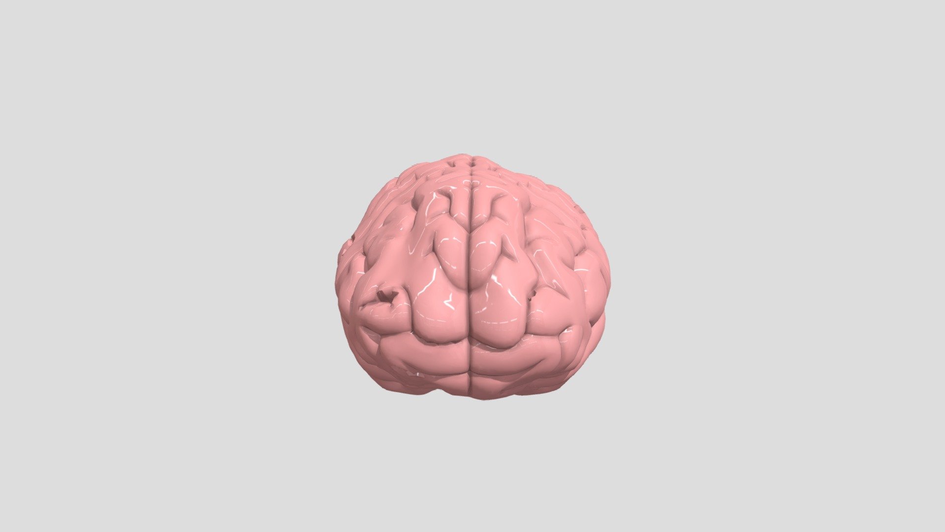 Personal Project product BRAIN - 3D model by Isa (@Isa_ZD) [65ace92 ...