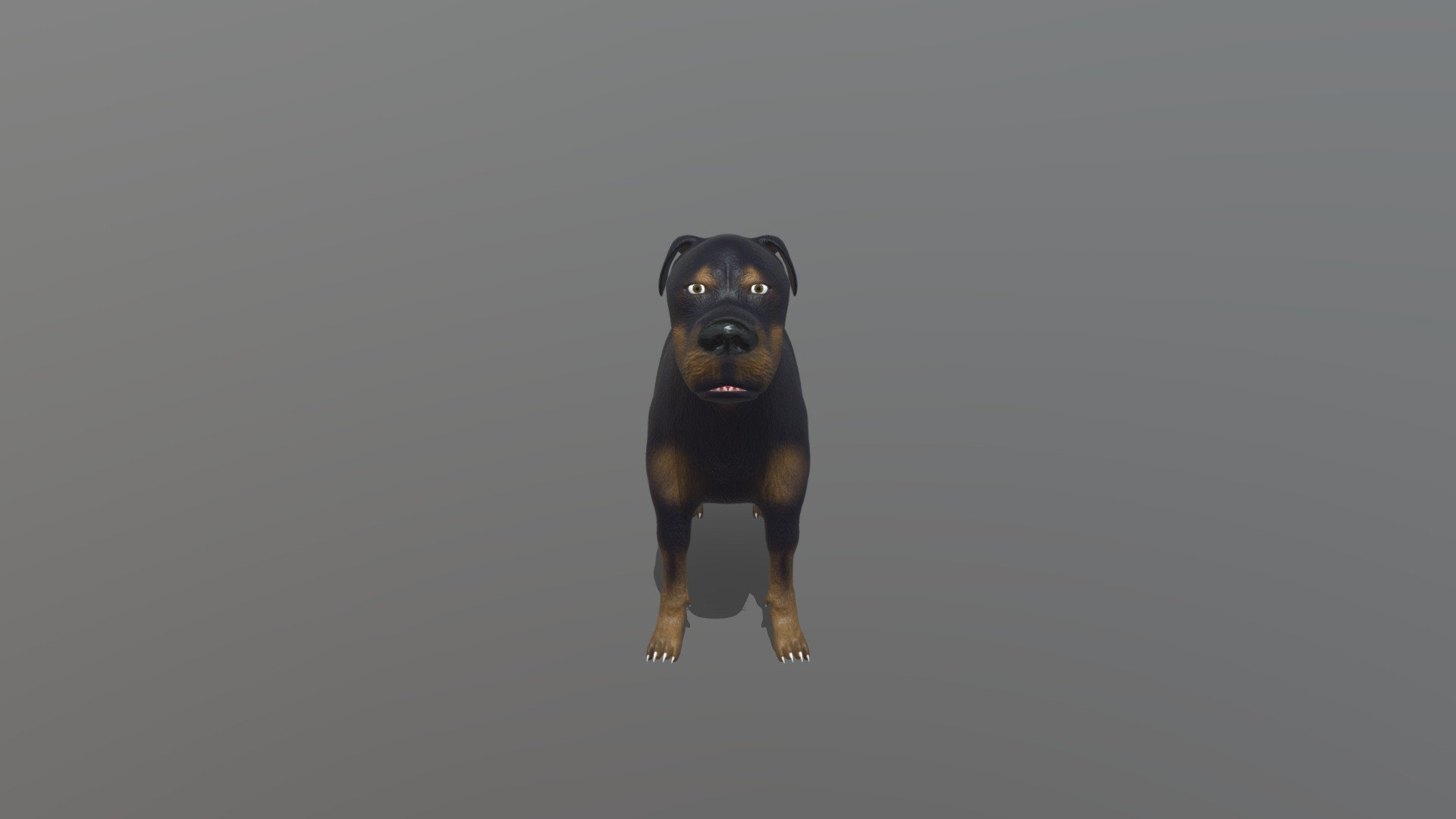 Personal Animal Character Model - Ash - 3D model by Keipari [65adff2 ...
