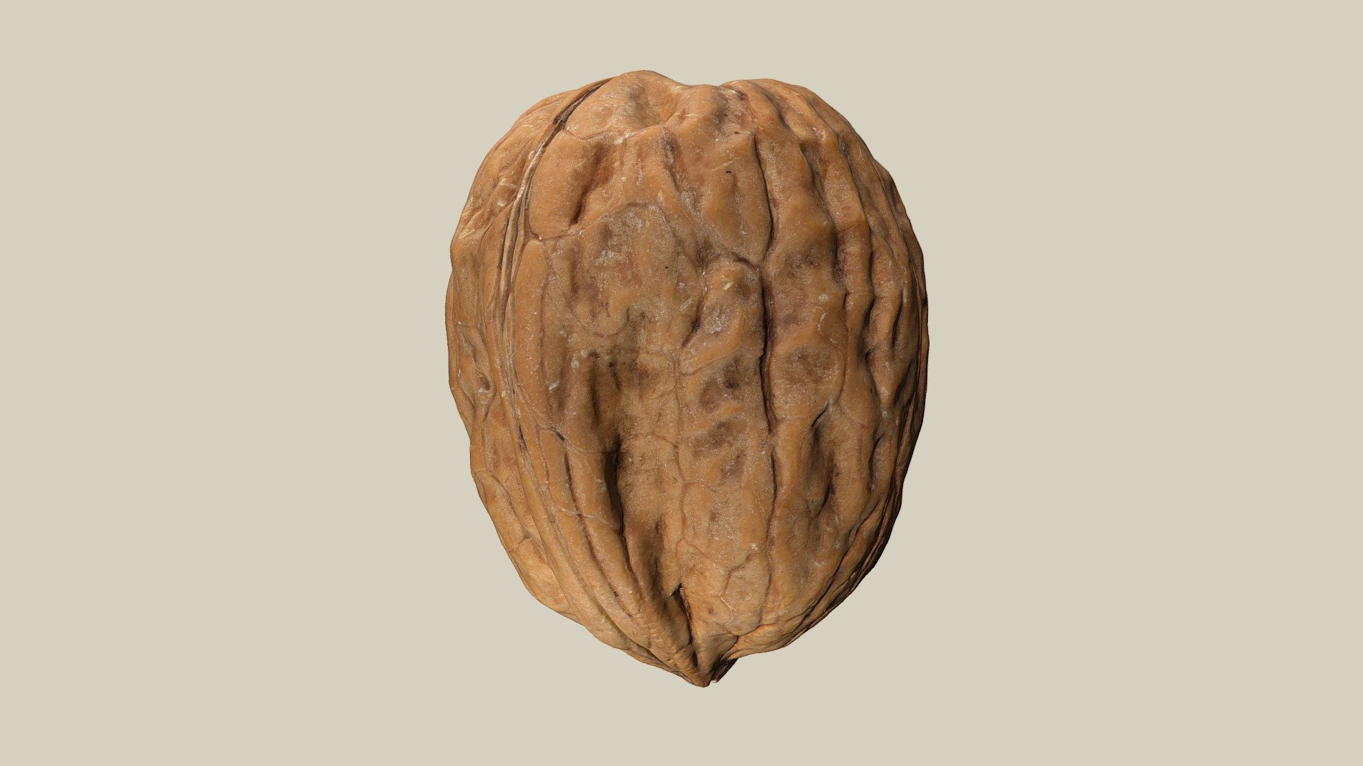 Fruit shop - Walnut - Buy Royalty Free 3D model by noe-3d.at (@www.noe ...