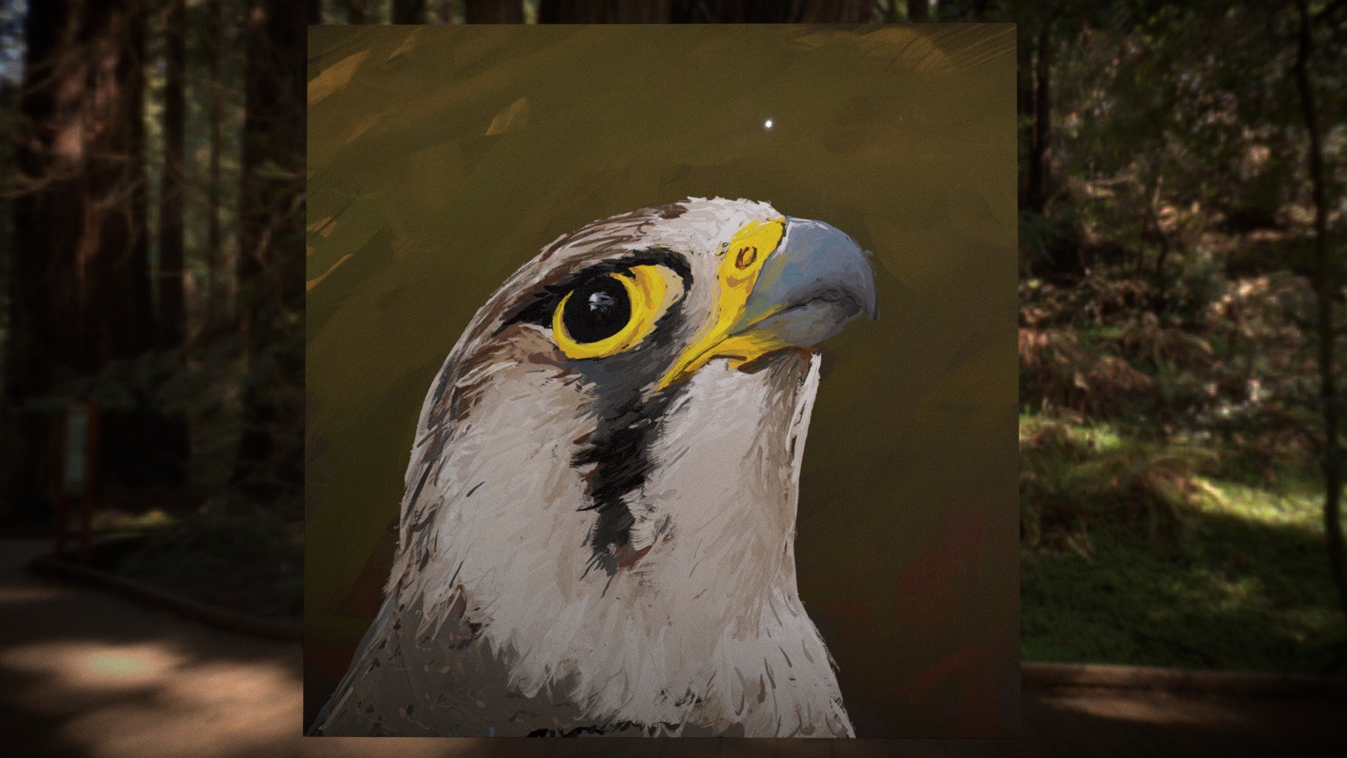 Falcon Green - 3D model by Markus Franz (@Markus_Franz) [65b4d47 ...